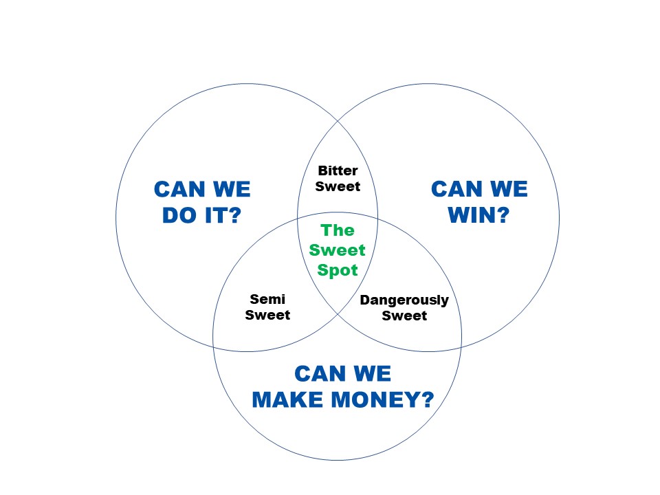 Proposal Strategy and Development Consulting